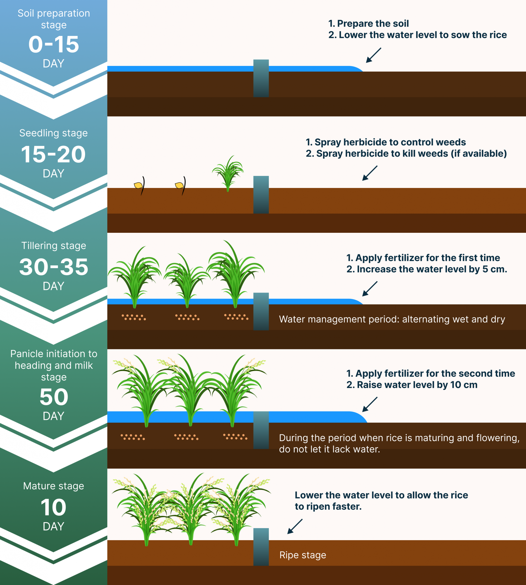 Case Study: Implementing Smart Farming Using the Alternate Wetting and ...